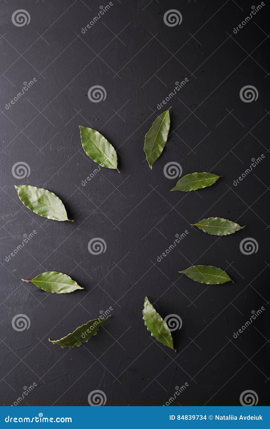 Bay Leaves on a Black Background. Bay Leaf. Laurel Wreath Stock Photo ...