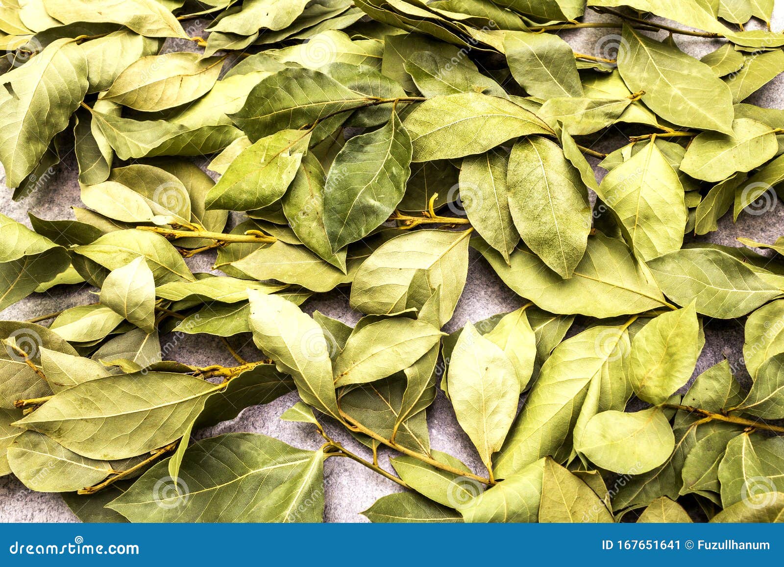 Dried Mud Texture Royalty-Free Stock Photo | CartoonDealer.com #27118227