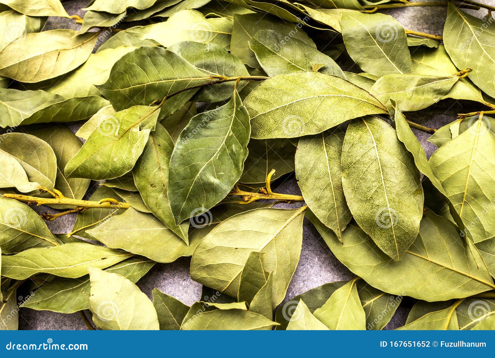 Bay Leaves Dried Texture Background Stock Photo - Image of dried ...