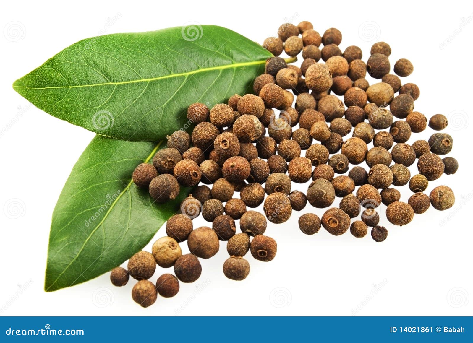 Bay Leaves and Fragrant Pepper Stock Image - Image of cuisine ...
