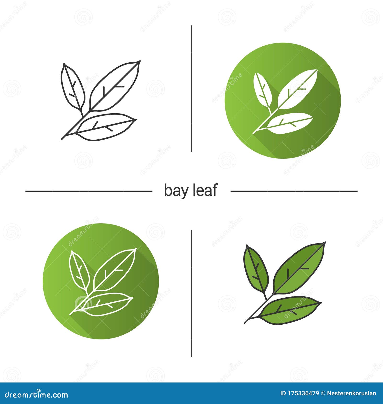 Bay leaves icon stock vector. Illustration of flat, branch - 175336479