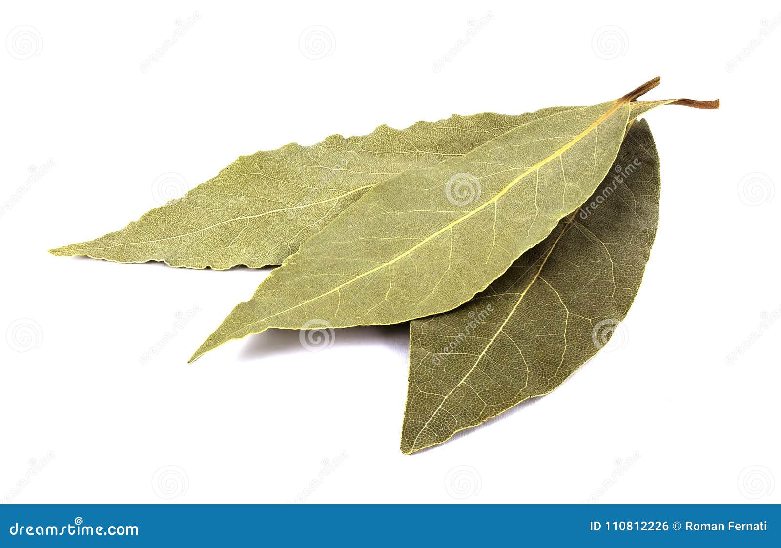 Bay Leaves Isolated on White Background Stock Photo - Image of herbal ...