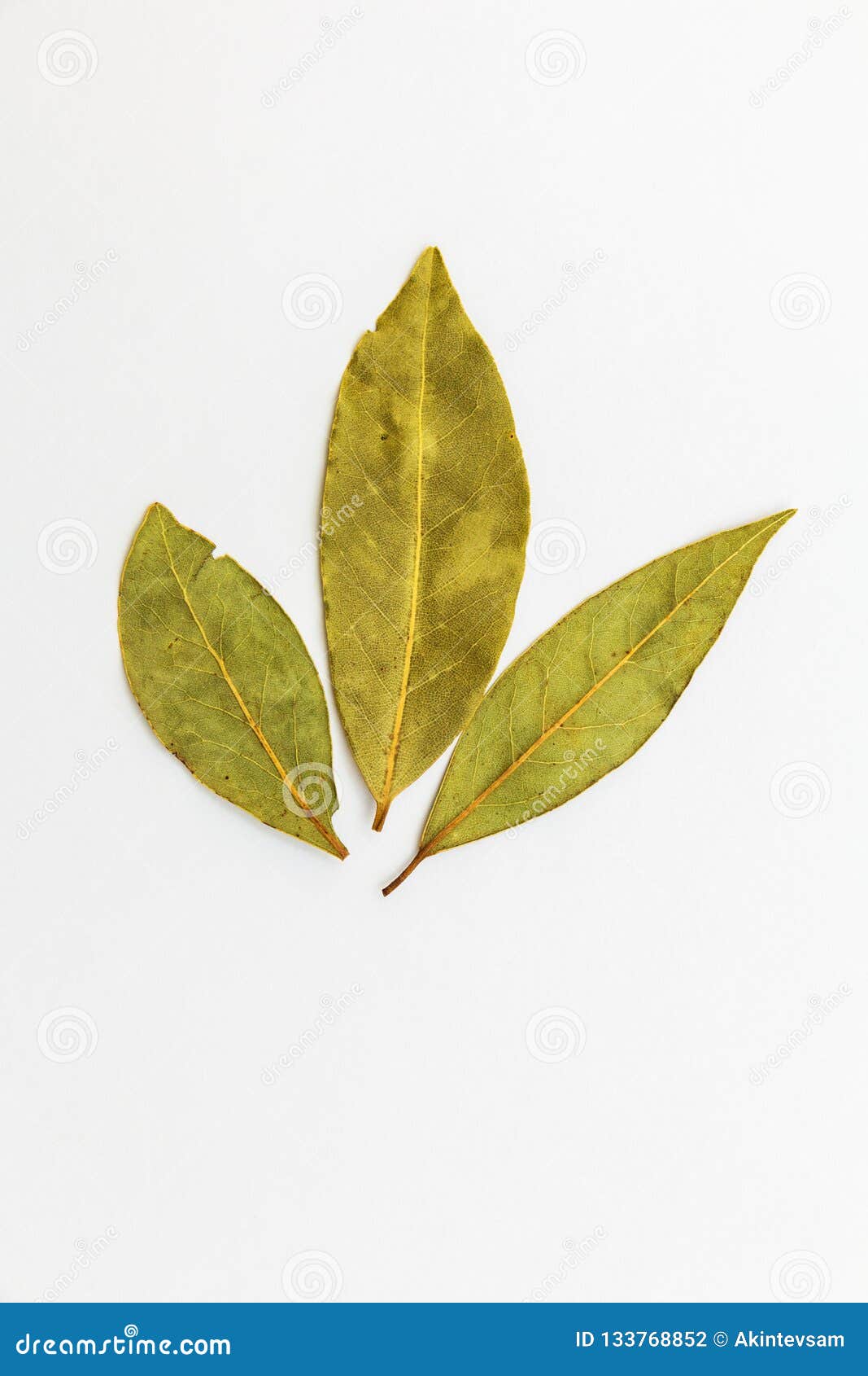 Bay Leaves Isolated on White Background Stock Photo - Image of dried ...