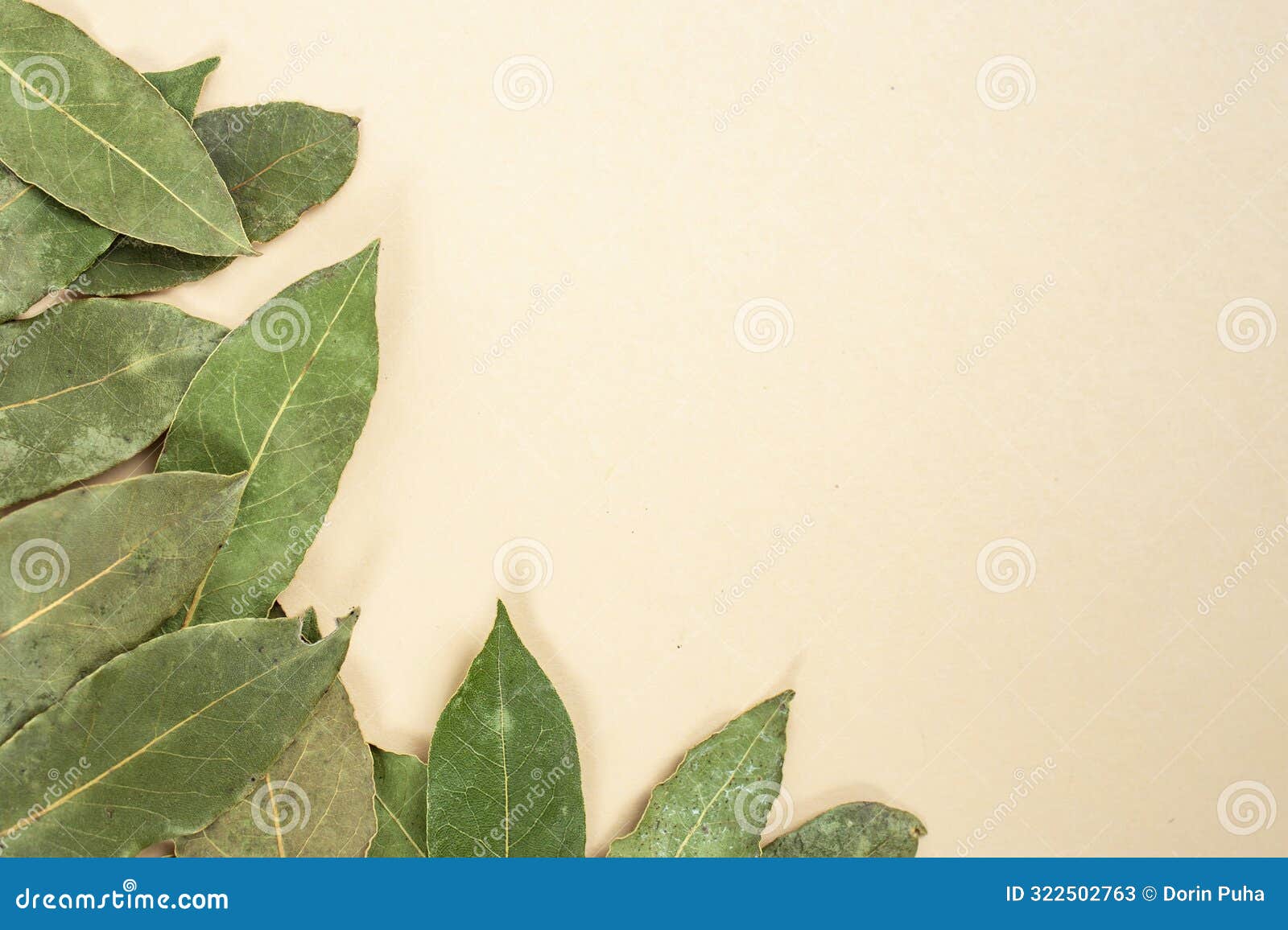 Bay Leaves Pile Frame on Cream Background, Close Up Stock Image - Image ...