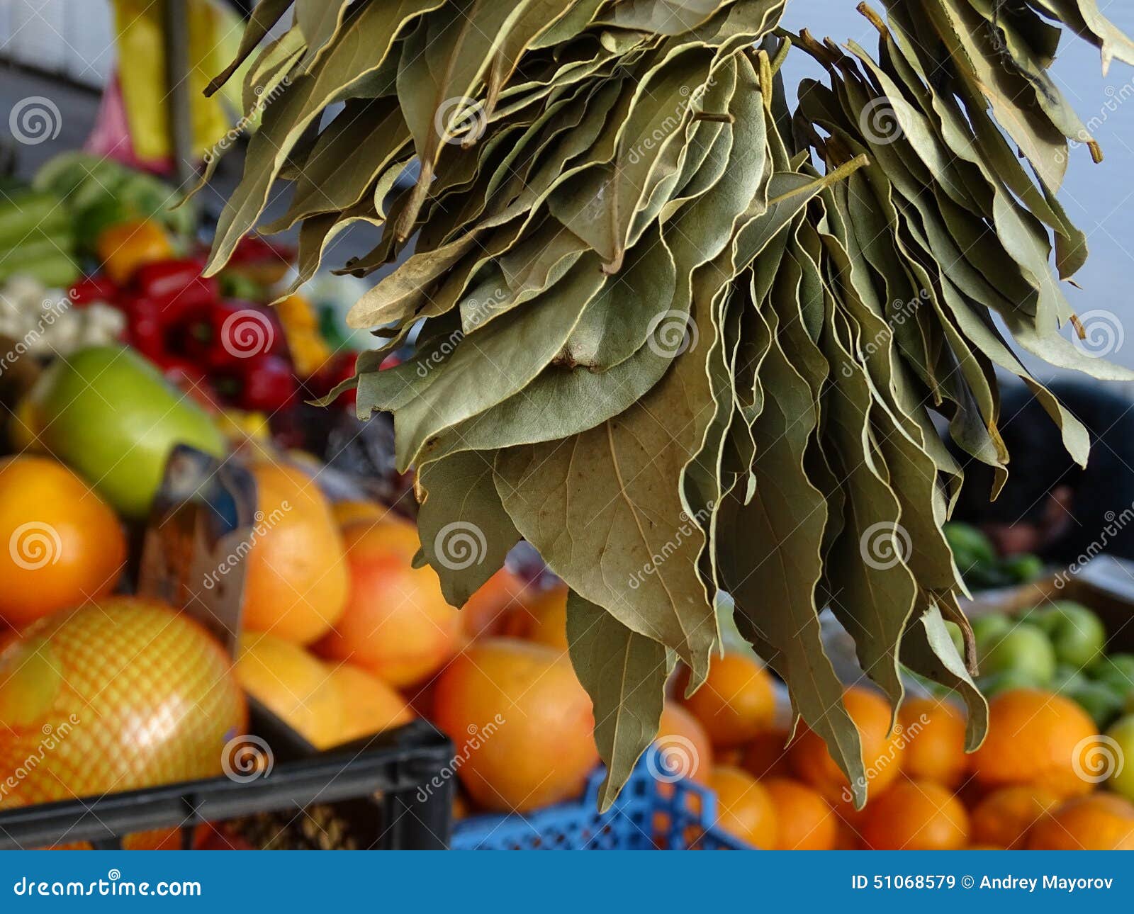Bay leaves stock image. Image of multicolored, vegetable - 51068579
