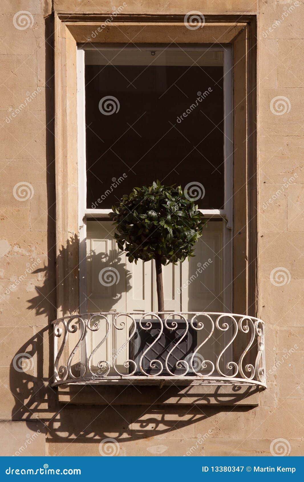 Bay Tree on the Balcony stock image. Image of bath, nature - 13380347