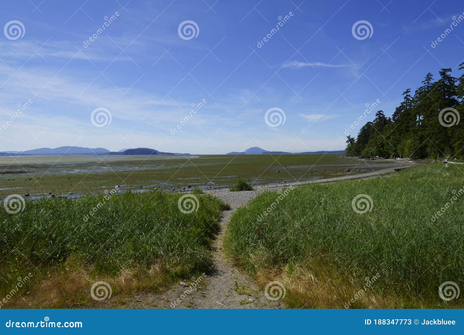 Bay View State Park Northwest of Seattle Stock Image - Image of land ...