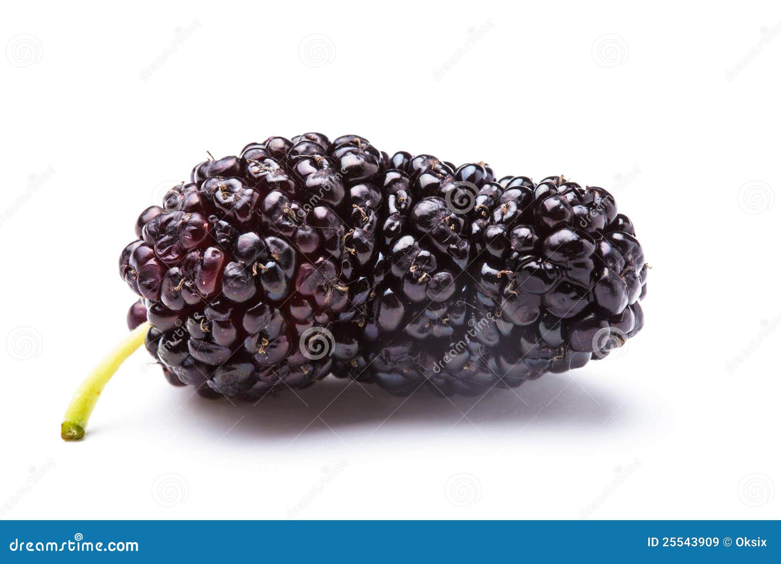 Baya de la mora imagen de archivo. Imagen de fondo, brillante - 25543909