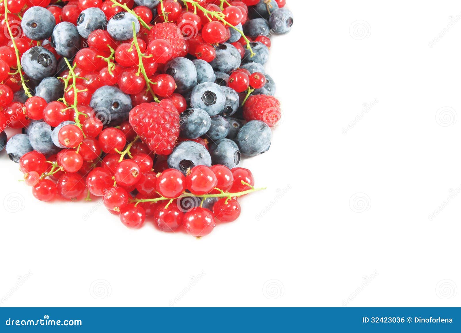 265 Baya Diferentes Tipos De Bayas Fotos - Libres de Derechos y ...