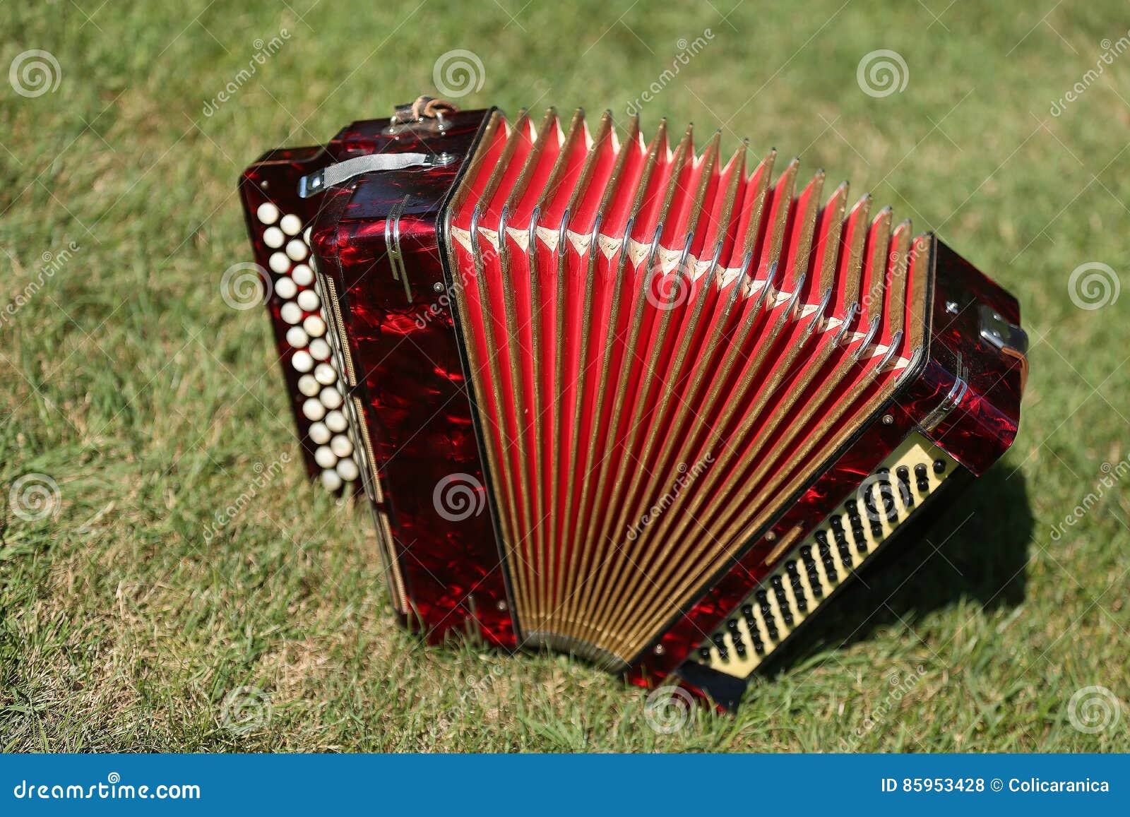 Bayan instrument stock photo. Image of garmon, bayan - 85953428