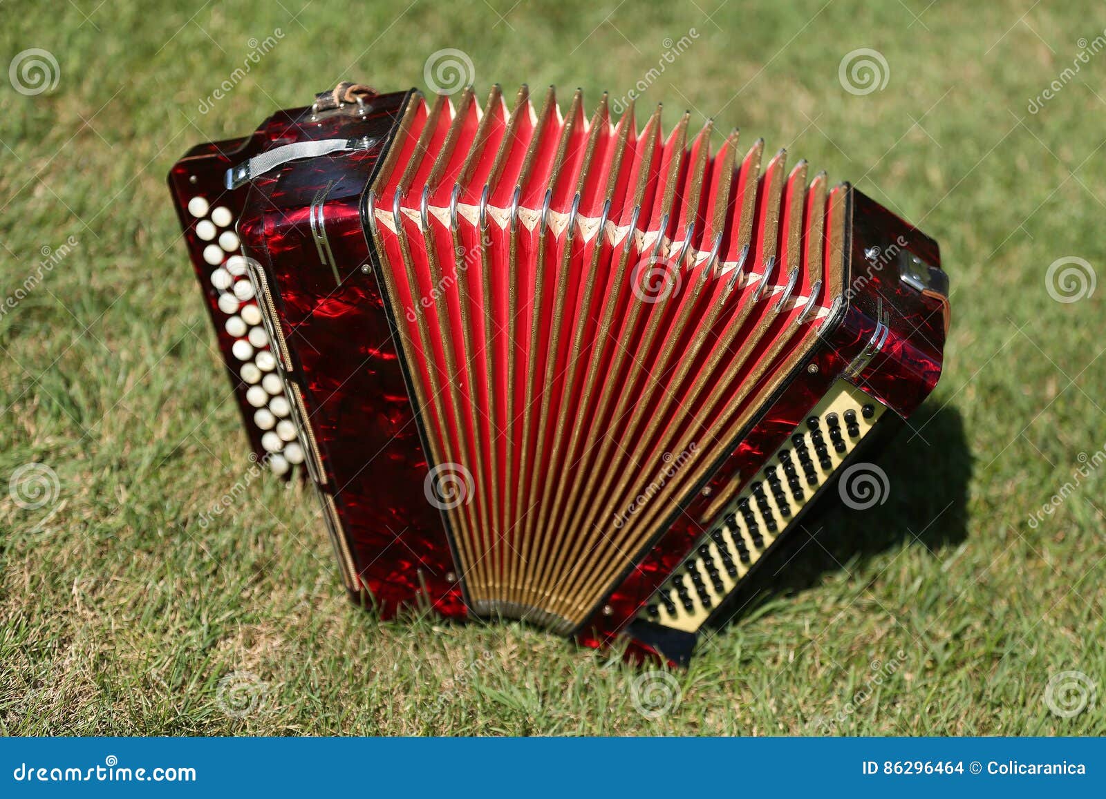 Bayan instrument stock photo. Image of nature, green - 86296464