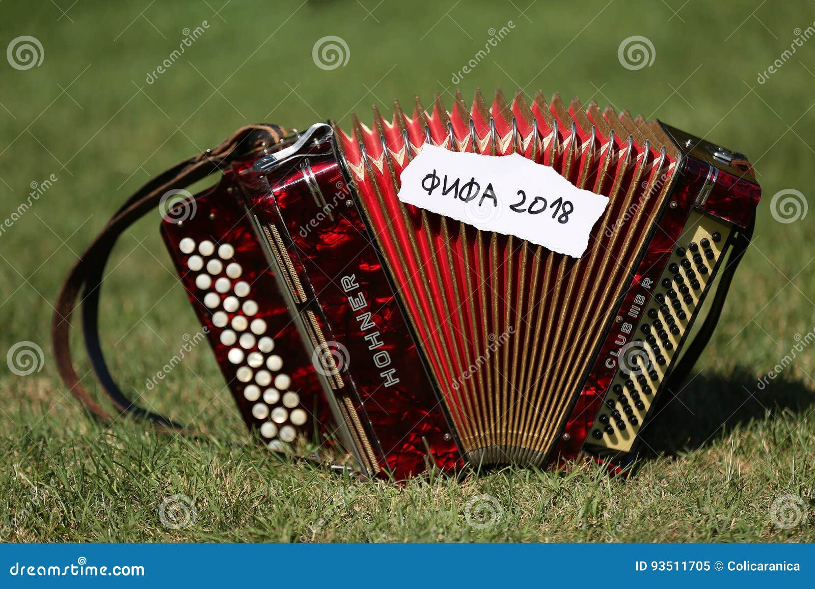 Bayan instrument editorial image. Image of nature, football - 93511705