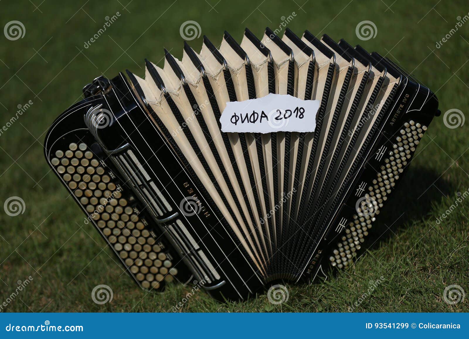 Bayan instrument editorial stock image. Image of grass - 93541299