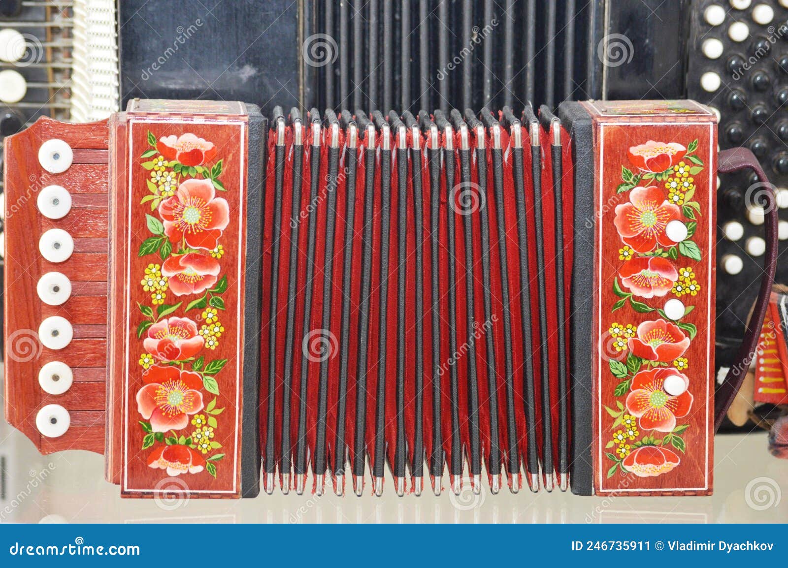 Bayan musical instrument stock image. Image of melody - 246735911