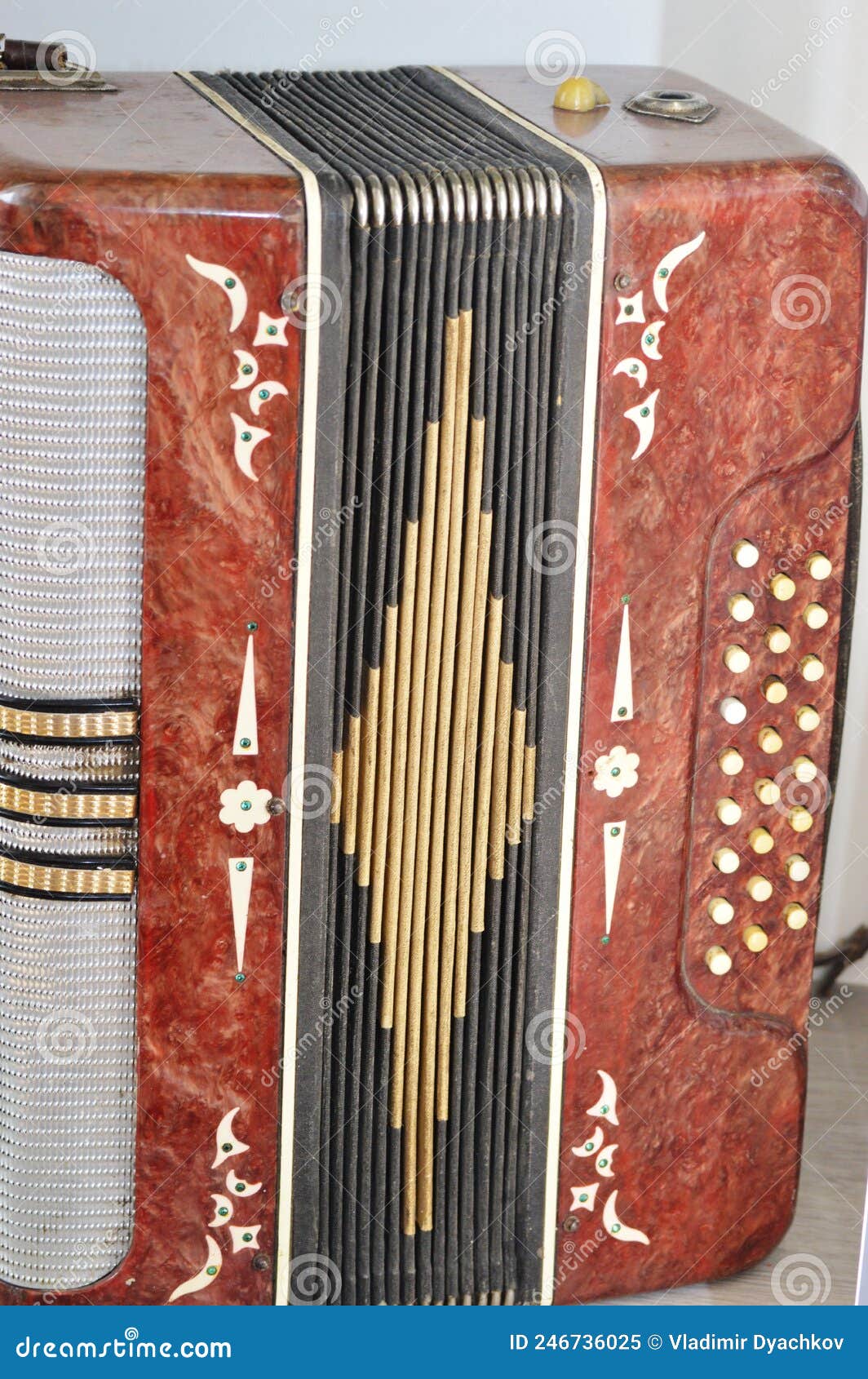 Bayan musical instrument stock image. Image of holiday - 246736025