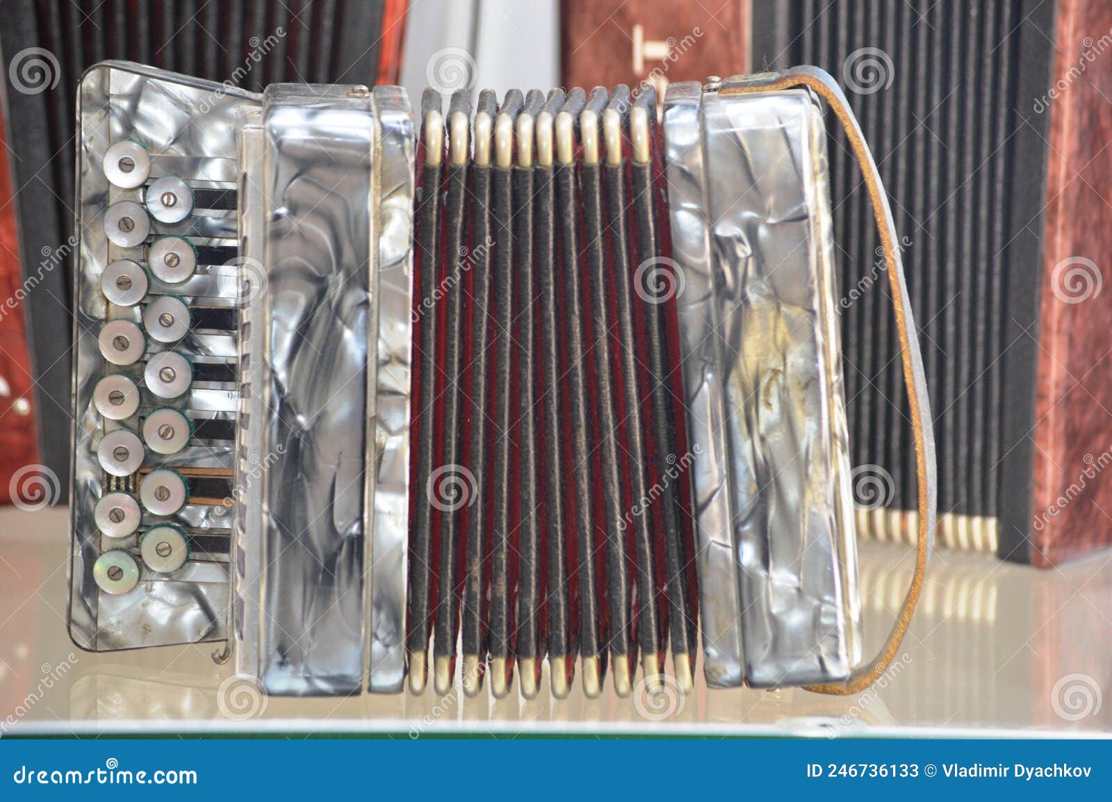 Bayan musical instrument stock image. Image of band - 246736133