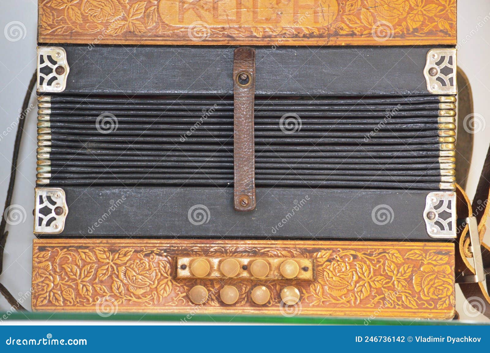 Bayan musical instrument stock photo. Image of concert - 246736142