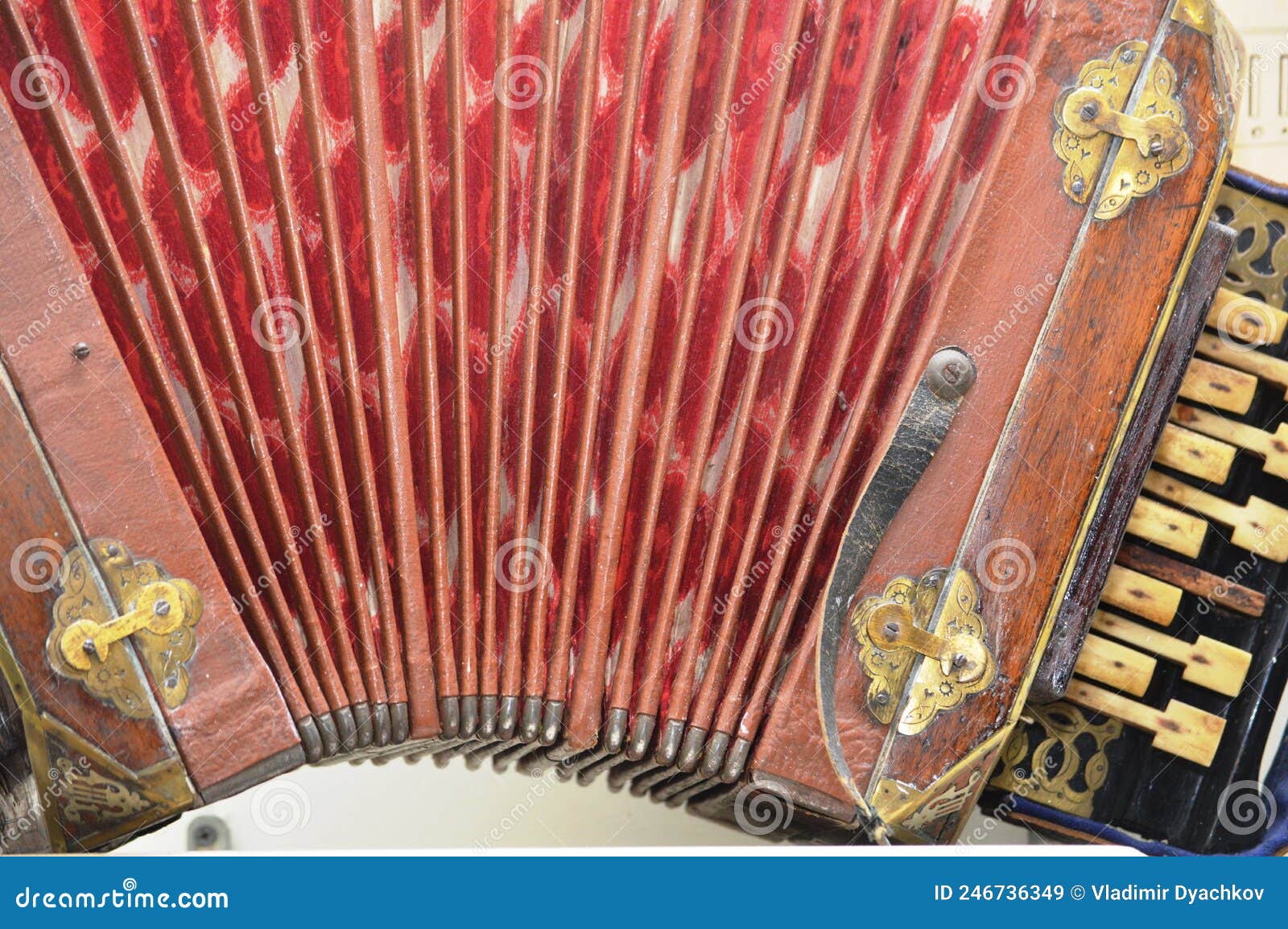 Bayan musical instrument stock image. Image of hohner - 246736349