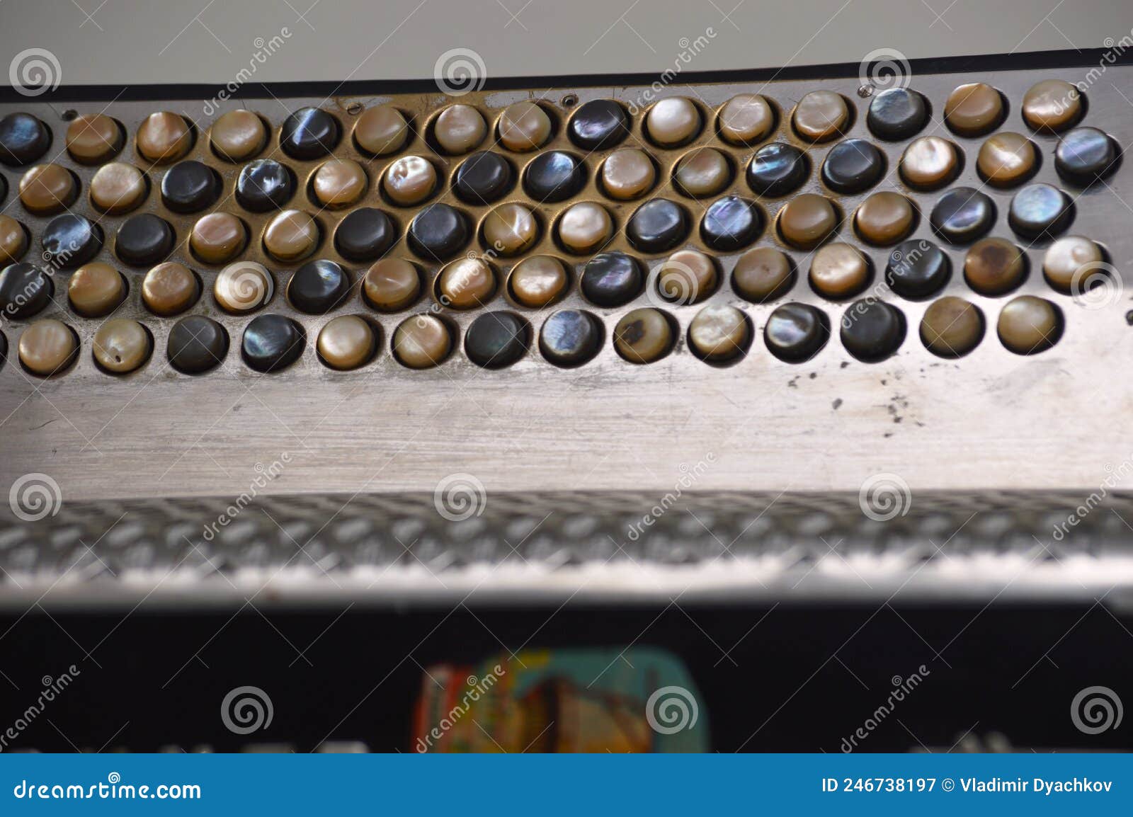 Bayan musical instrument stock image. Image of hohner - 246738197