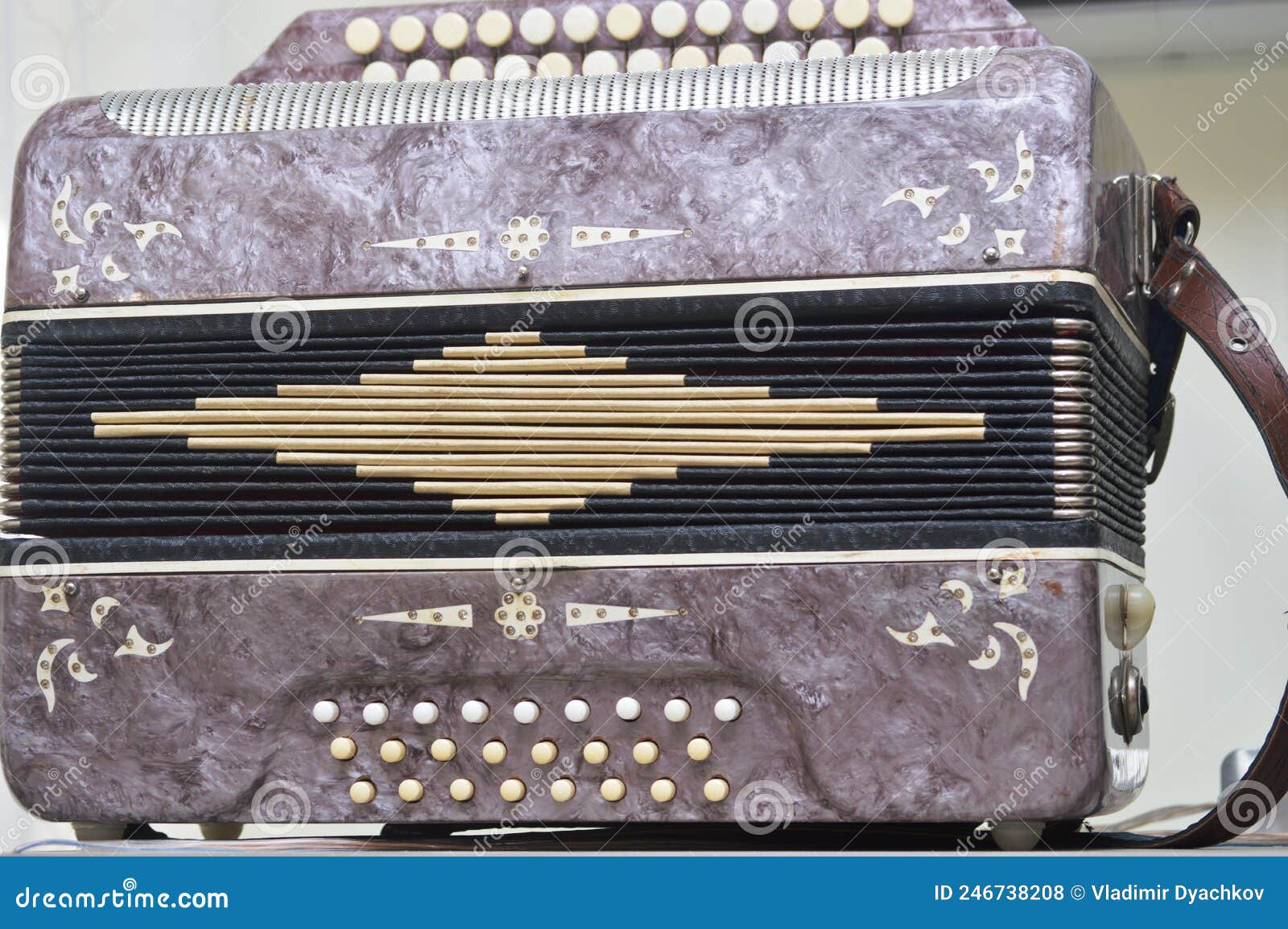 Bayan musical instrument stock photo. Image of harmonica - 246738208