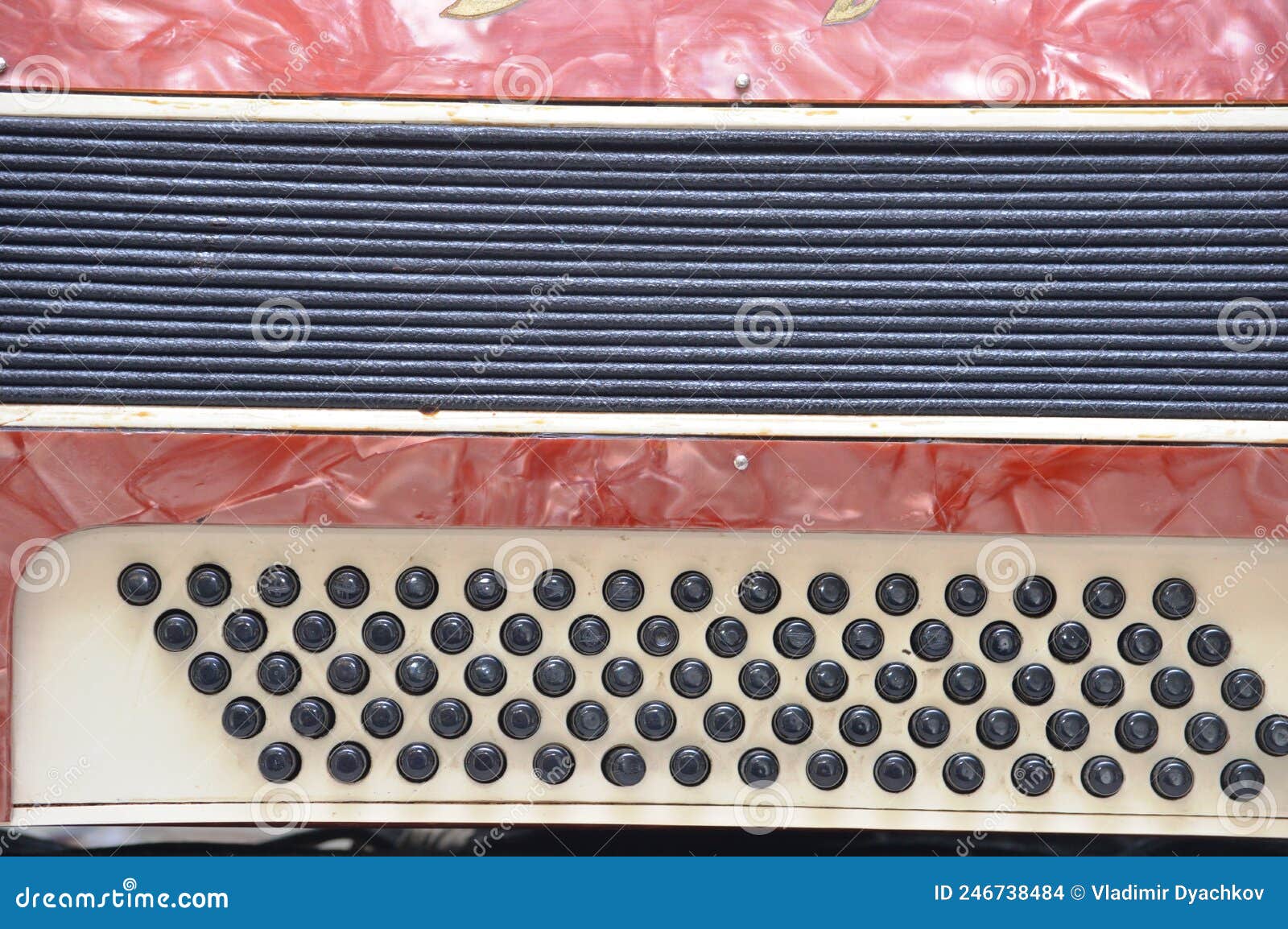 Bayan musical instrument stock photo. Image of band - 246738484