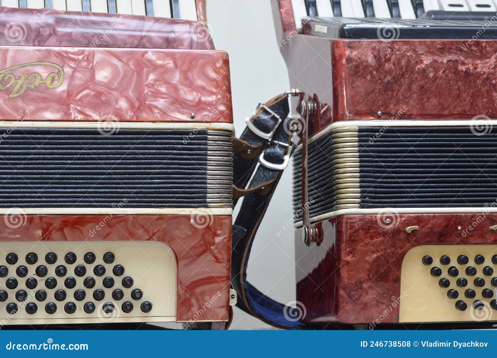 Bayan musical instrument stock photo. Image of close - 246738508