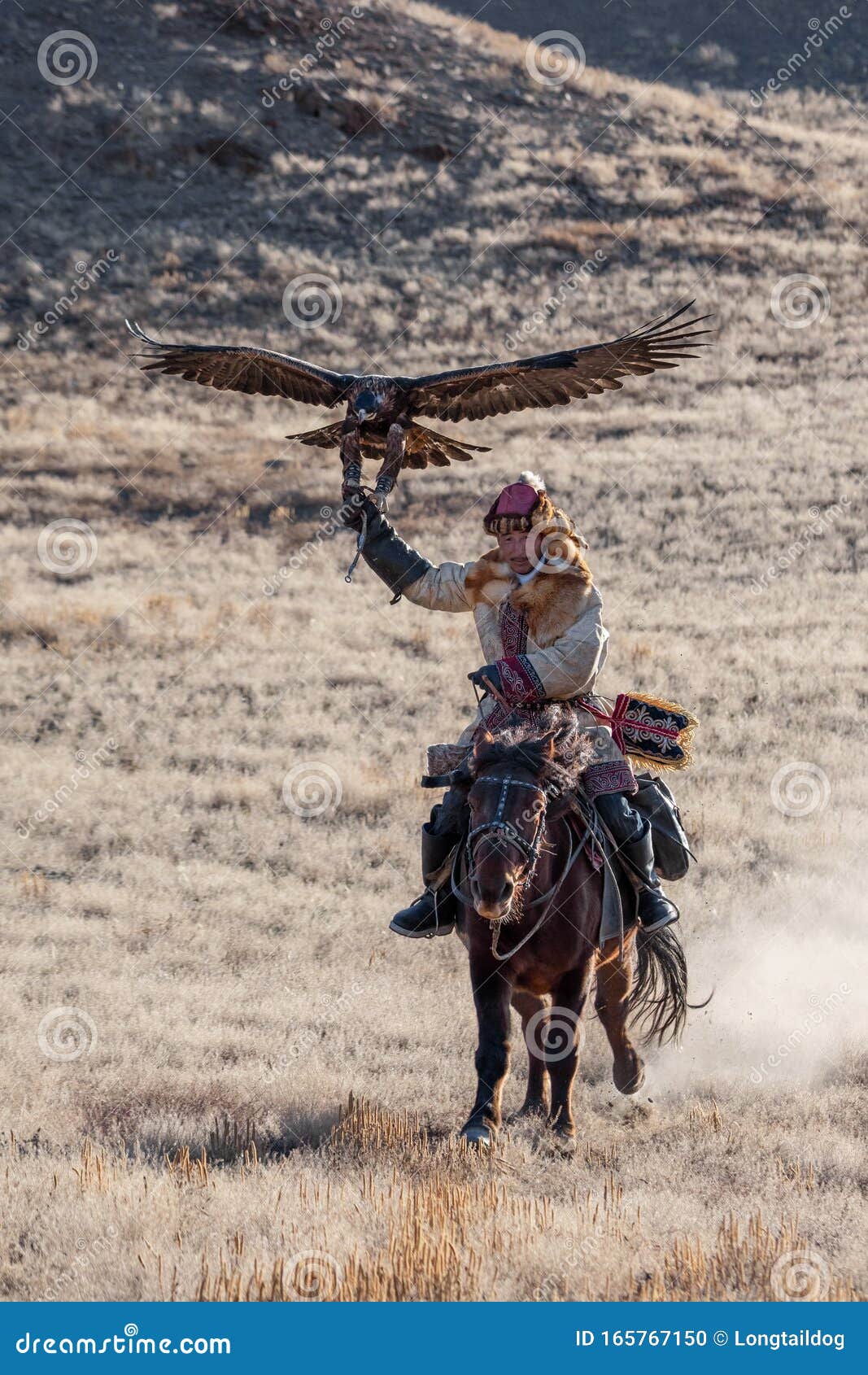Unknown Huntsman with Golden Eagle Shows His Experience. Local Huntsman ...
