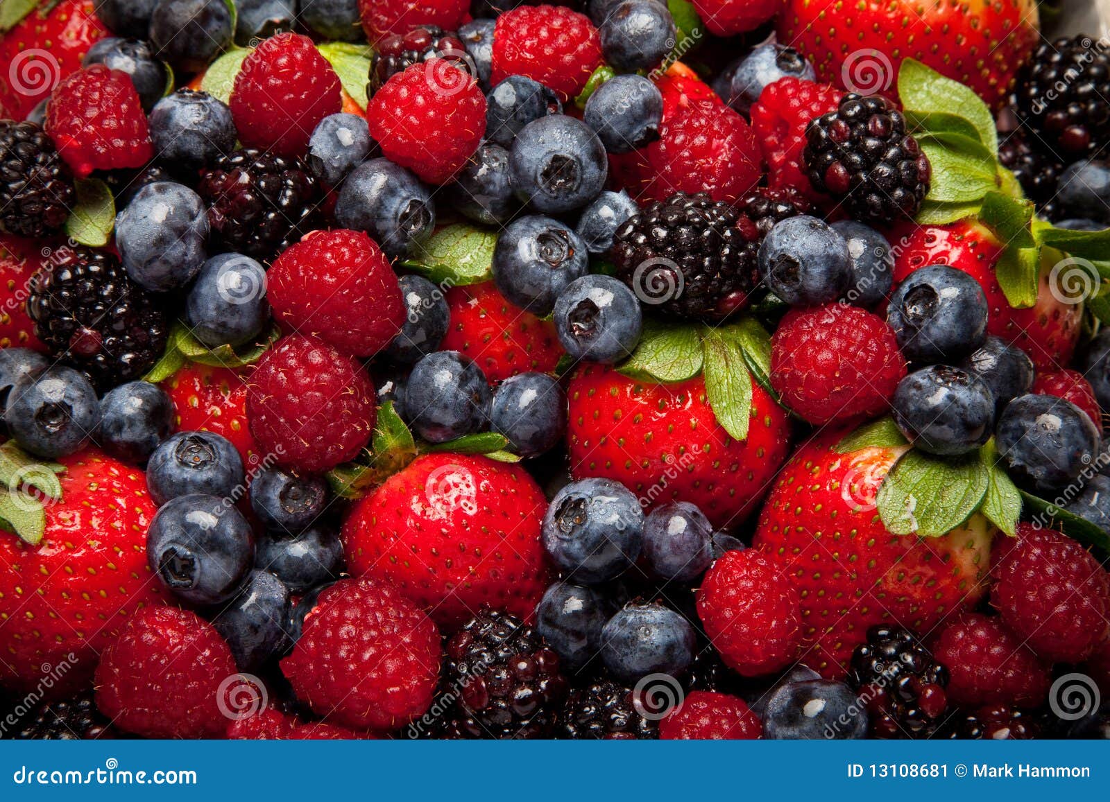 Bayas imagen de archivo. Imagen de producto, bayas, alimento - 13108681