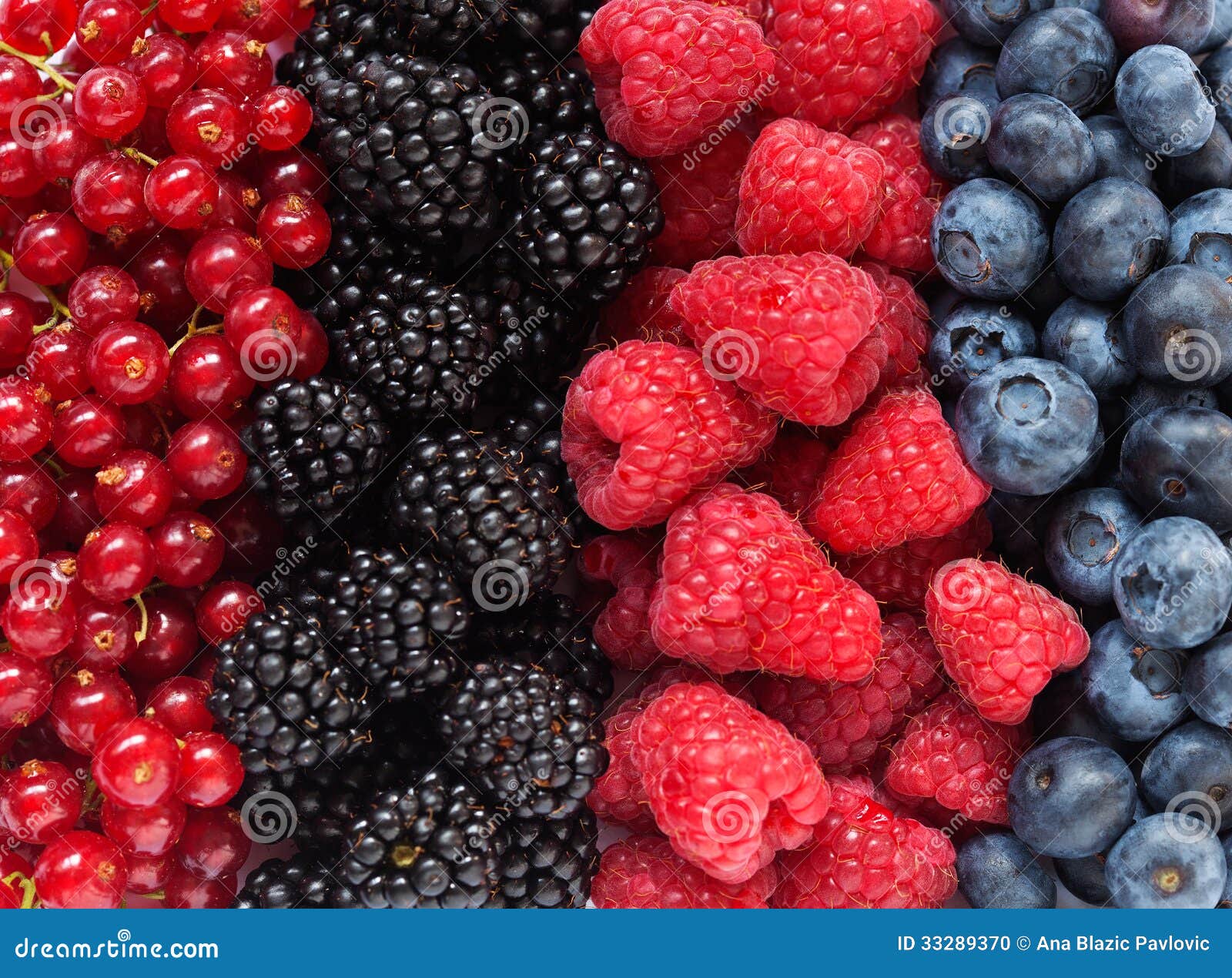 Bayas foto de archivo. Imagen de alimento, zarzamora - 33289370