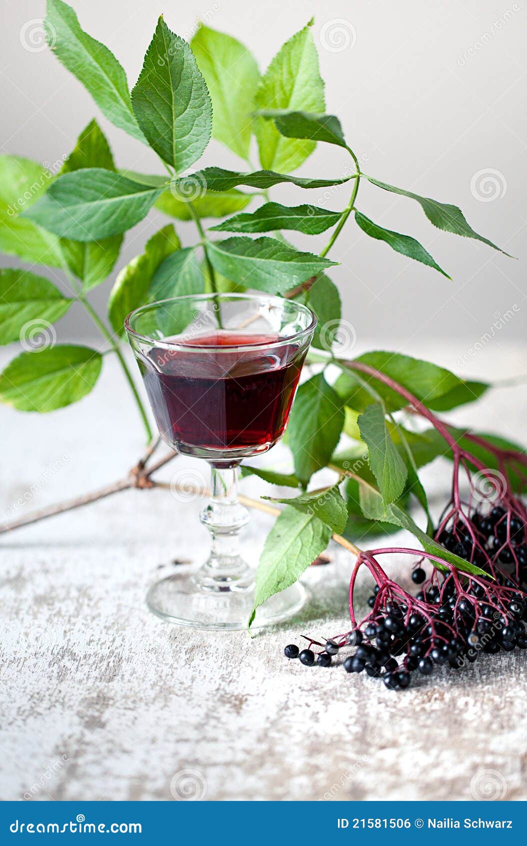 Bayas del saúco foto de archivo. Imagen de brillante - 21581506