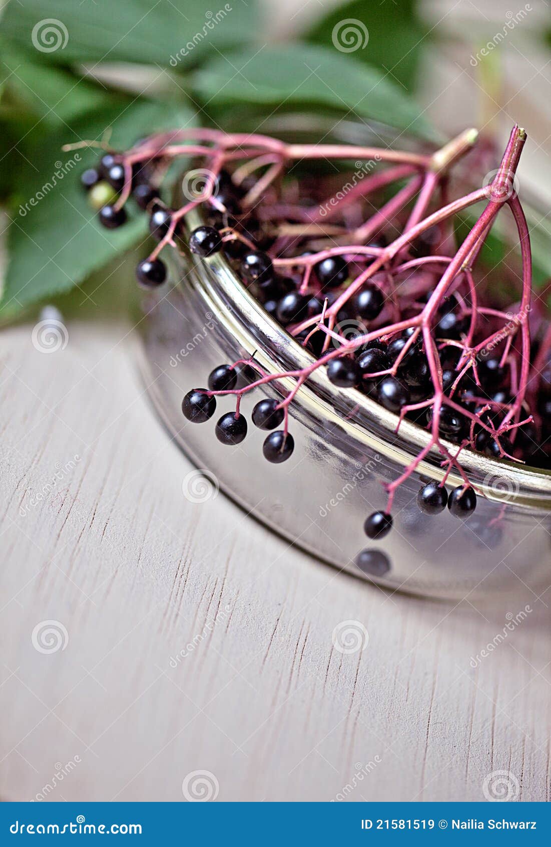 Bayas del saúco imagen de archivo. Imagen de maduro, frutas - 21581519