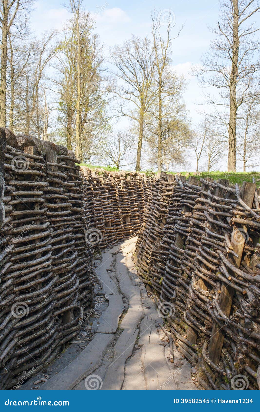 Bayernwald Trenches World War One Flanders Belgium Stock Photography ...