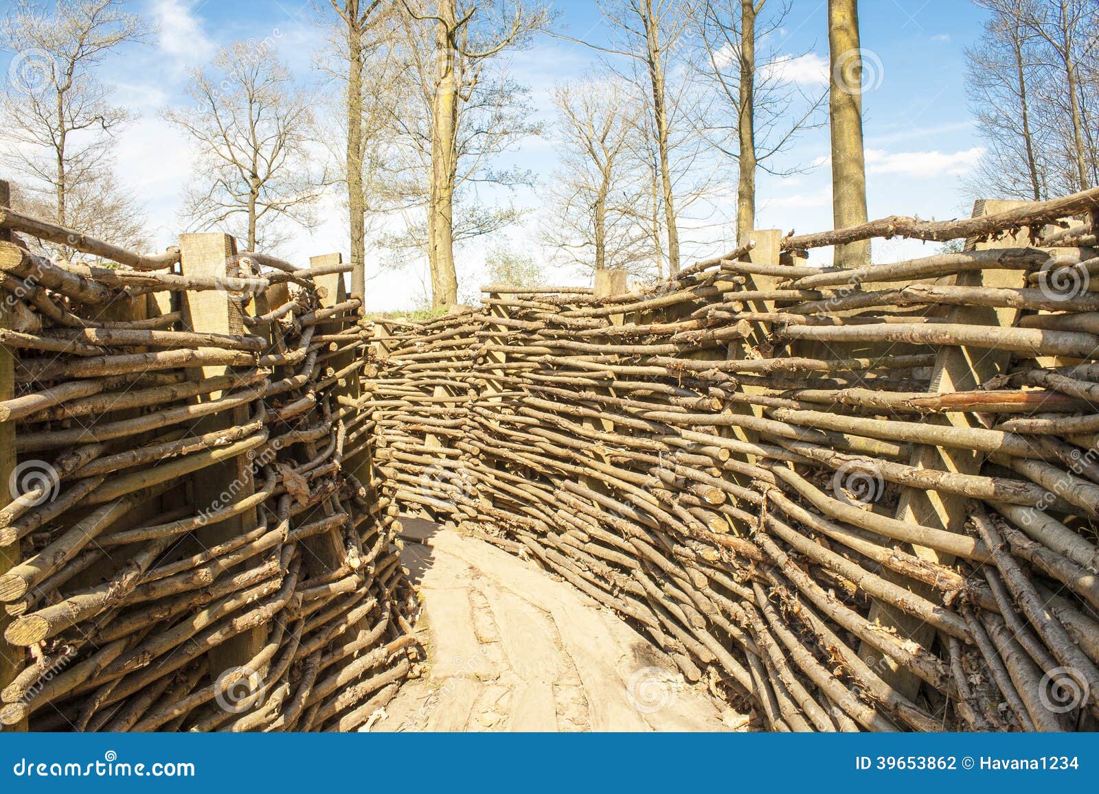 The Bayernwald Trenches World War One Flanders Belgium Stock Photo ...
