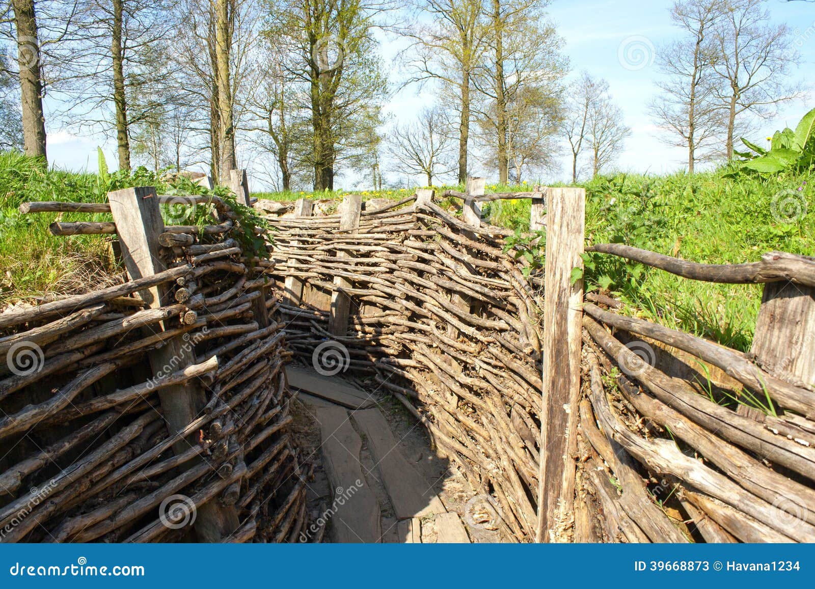 The Bayernwald Trenches World War One Flanders Belgium Stock Image ...