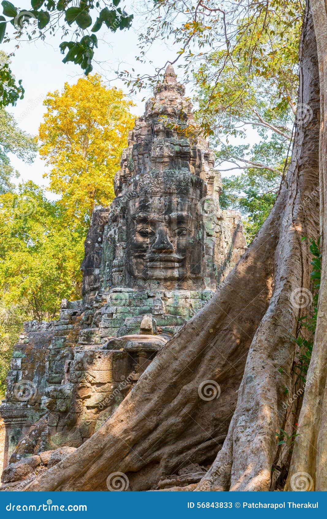 Bayon temple stock image. Image of animal, leaf, historic - 56843833