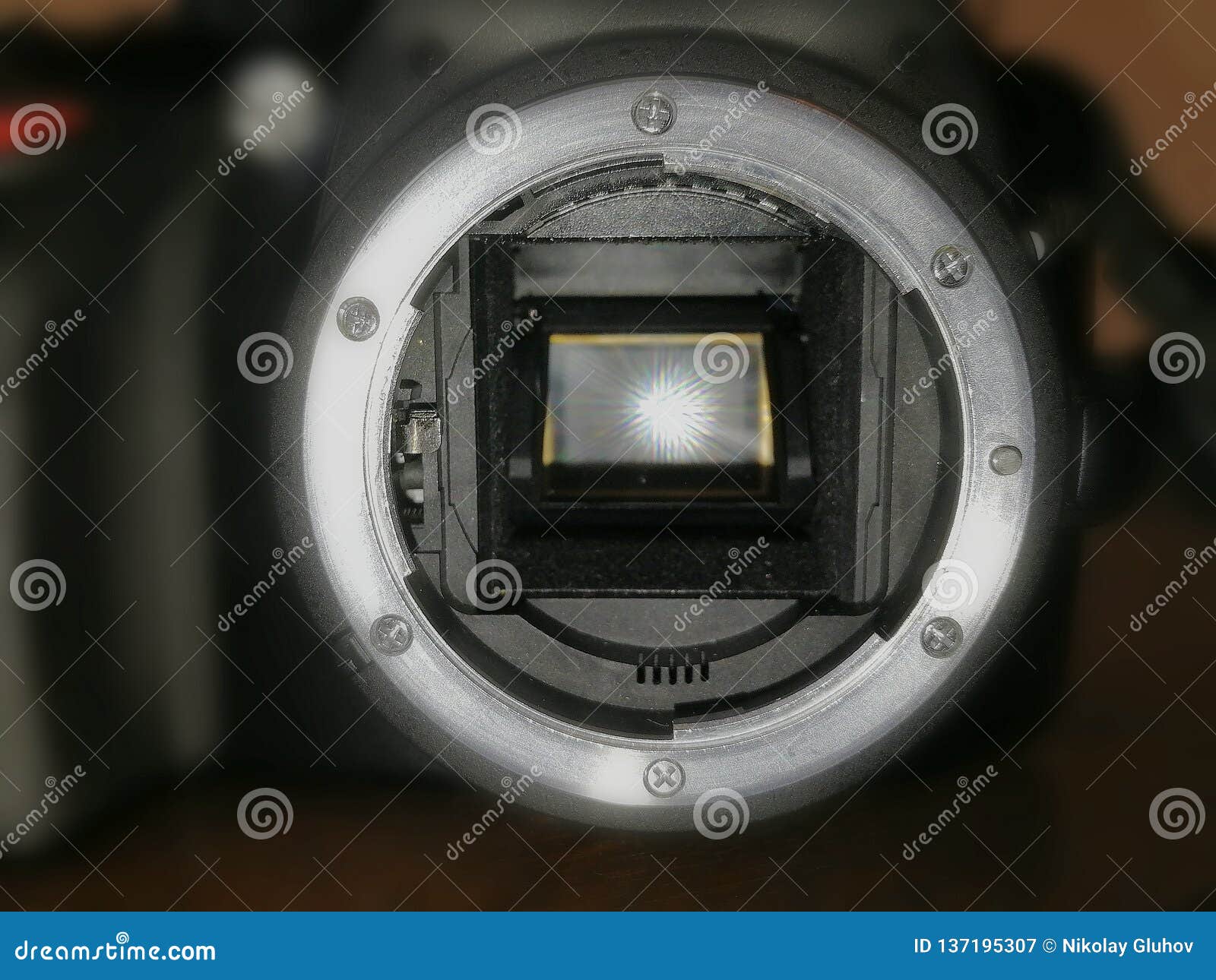 Bayonet and Mirror, Reflex Camera Stock Image - Image of camera, mirror ...