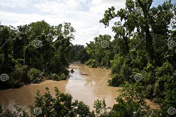 Bayou stock image. Image of texas, east, bayou, south - 11881029