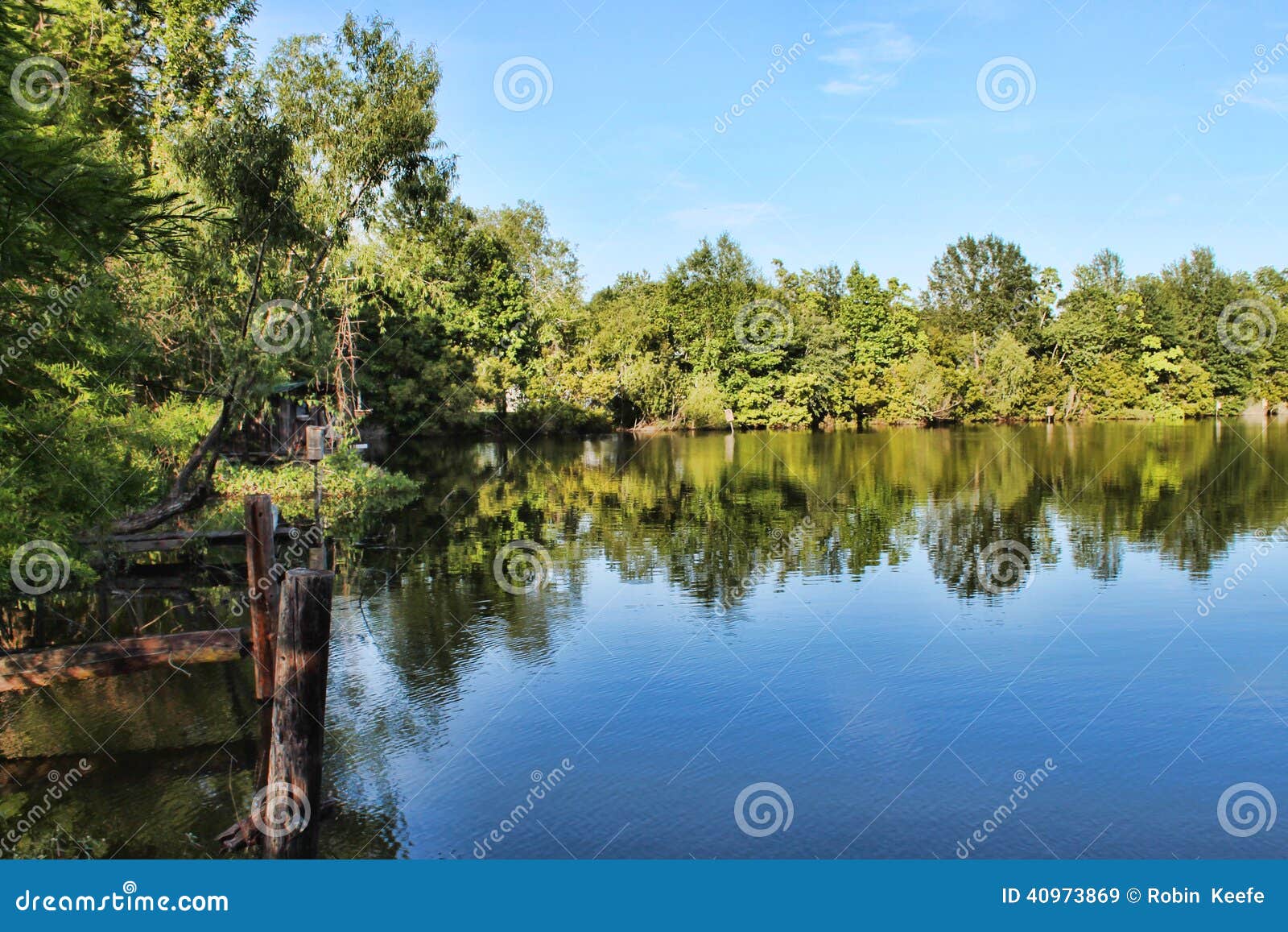 Bayou and Rustic Dock stock image. Image of nature, louisiana - 40973869