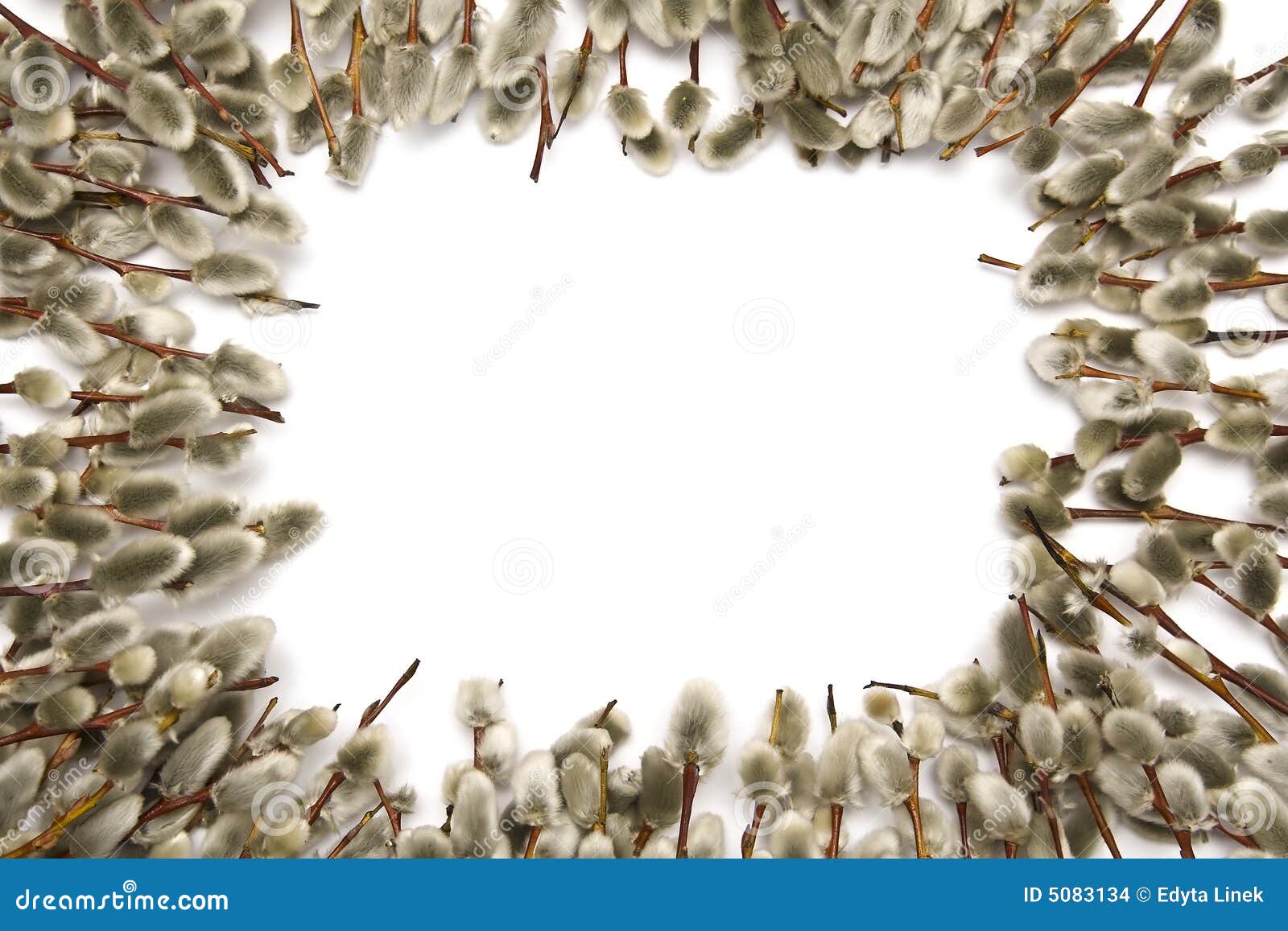 Bazie zdjęcie stock. Obraz złożonej z roślina, bufiasty - 5083134