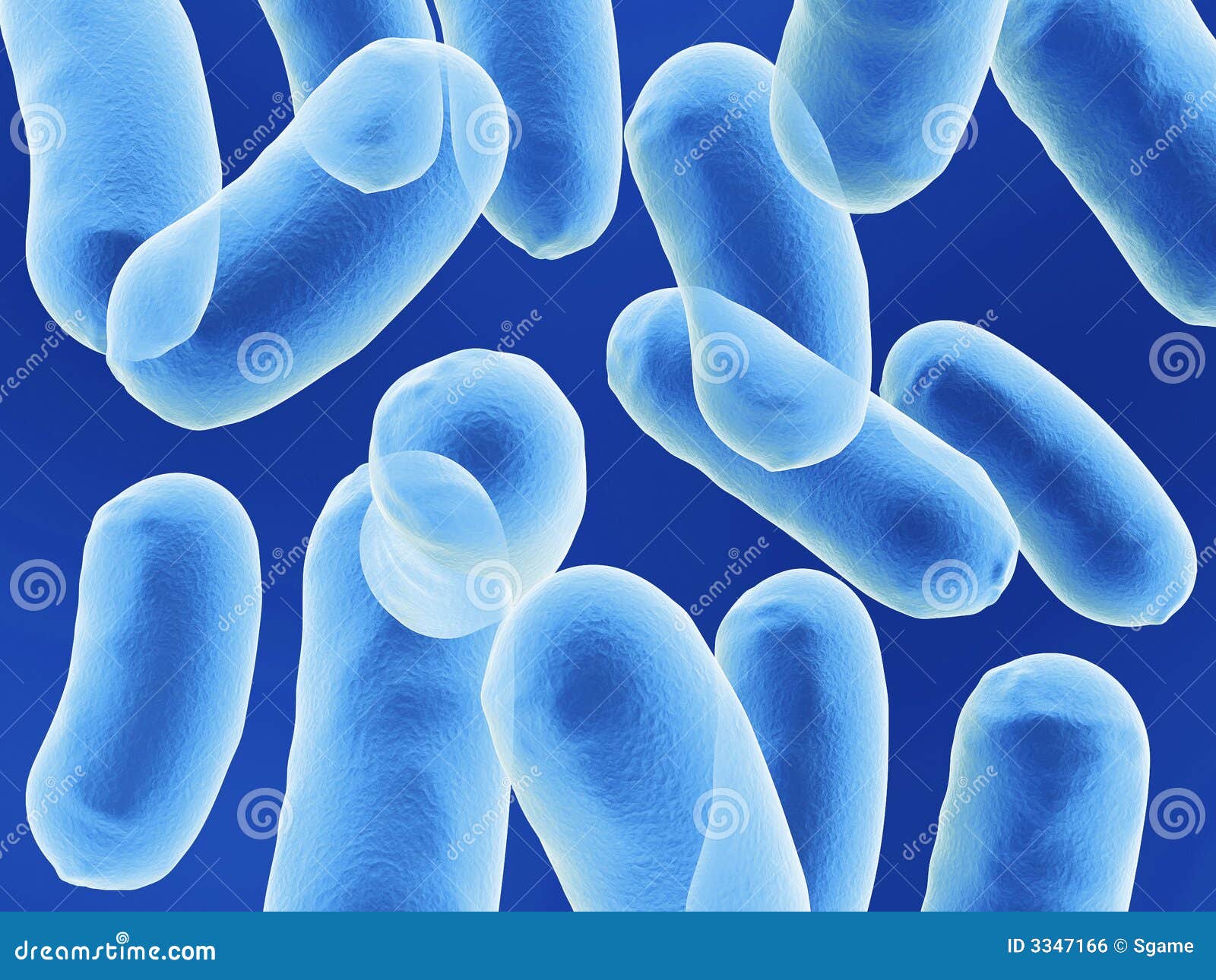 Bazillus Bakterium stock abbildung. Illustration von blau - 3347166