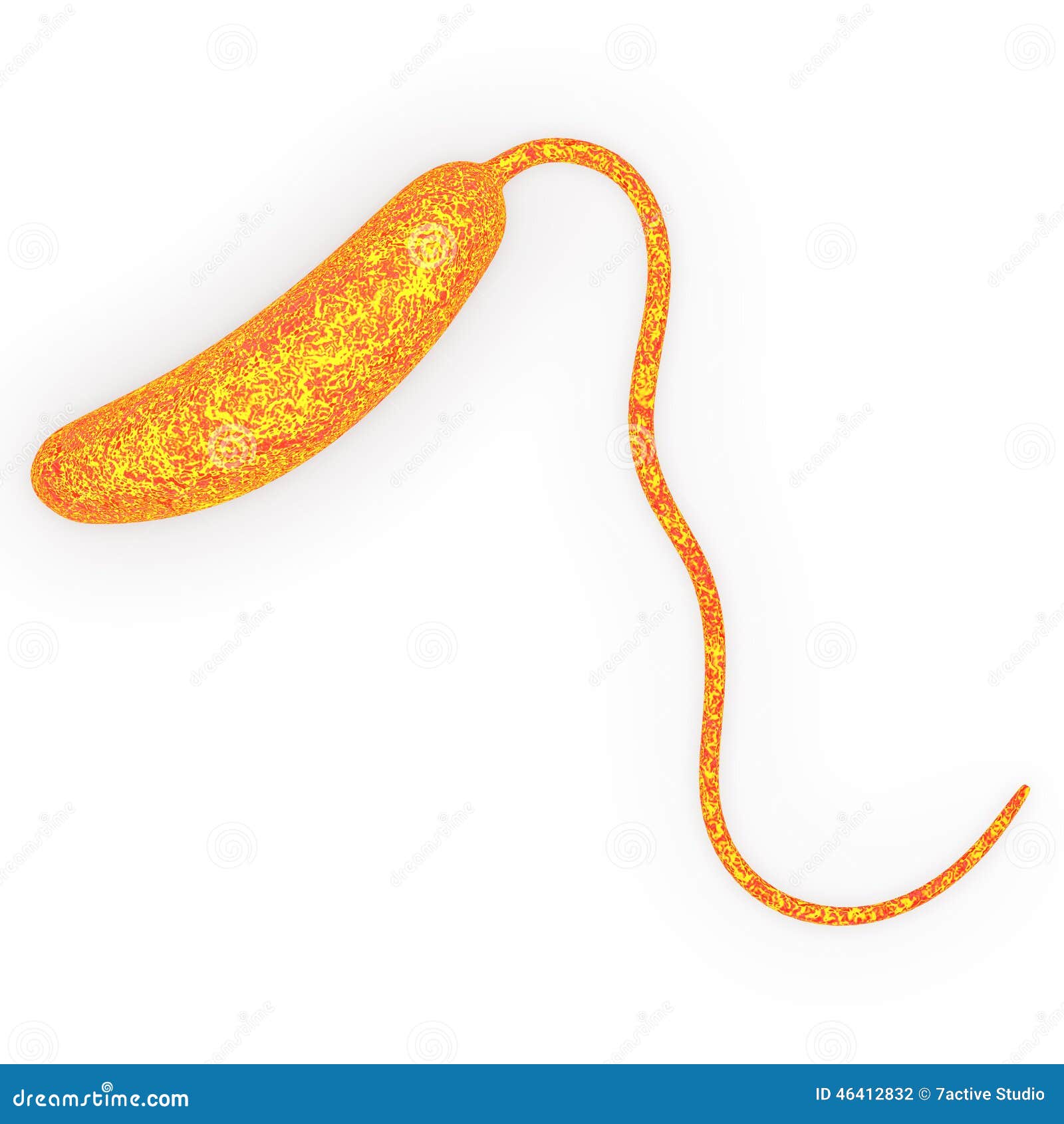 Bazillus Bakterium stock abbildung. Illustration von krankheit - 46412832