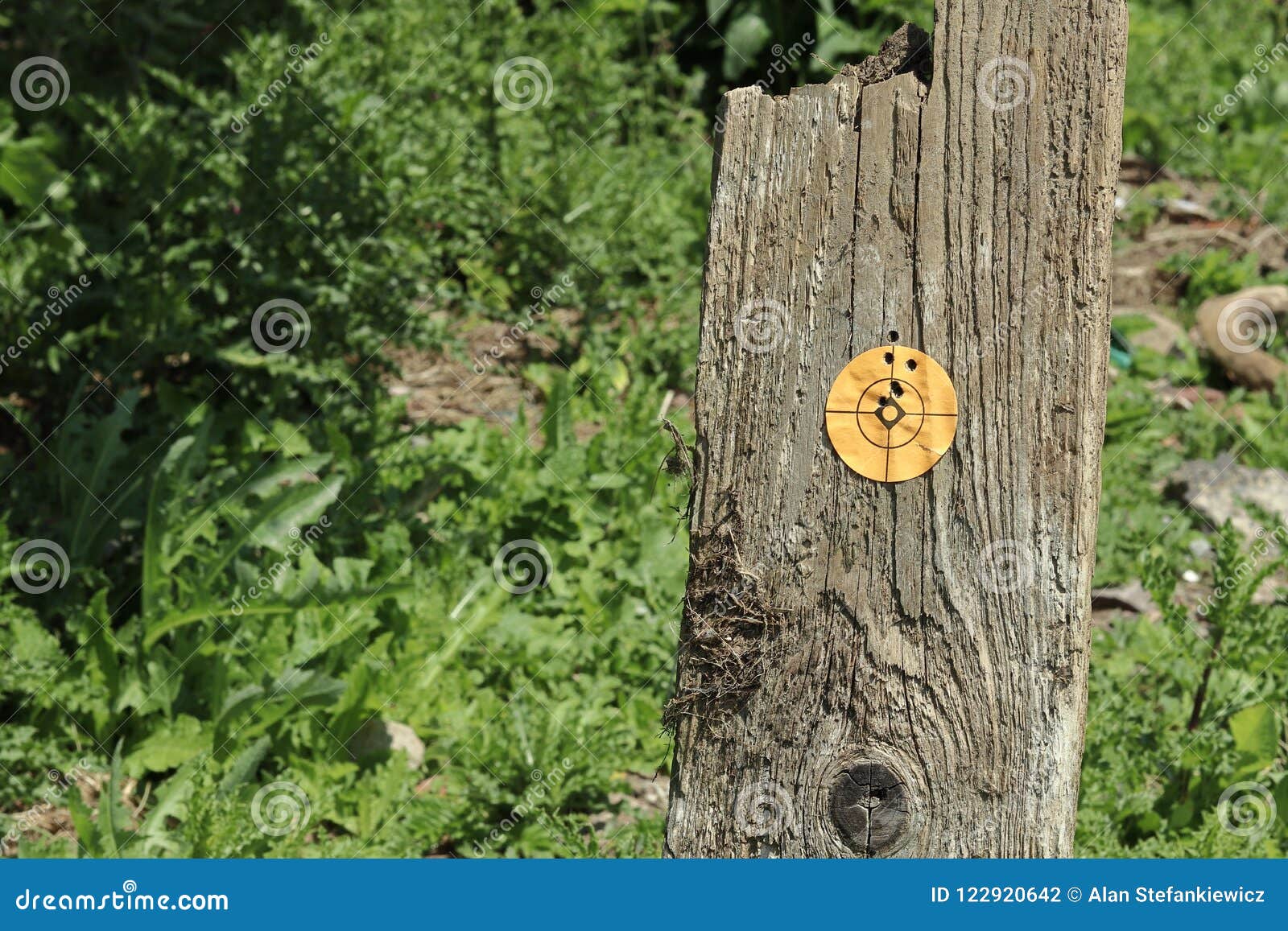 Bb Bird Stock Photos - Free & Royalty-Free Stock Photos from Dreamstime