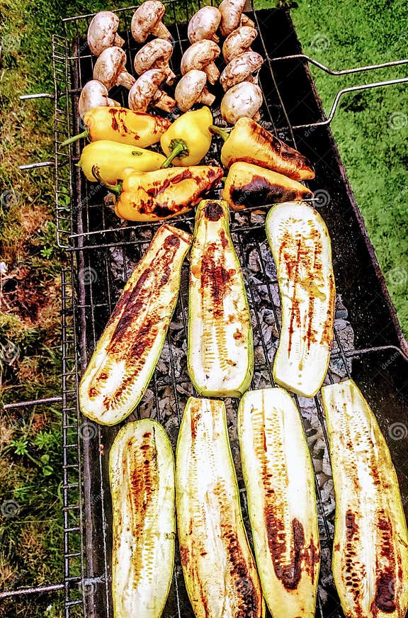 BBQ stock image. Image of grill, paper, mashrooms, food - 103044075