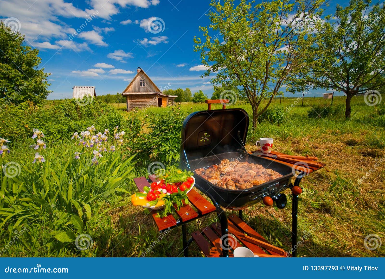 BBQ stock image. Image of product, nature, food, grilling - 13397793