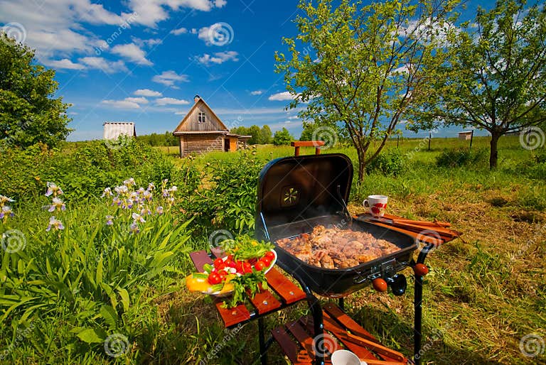 BBQ stock image. Image of product, nature, food, grilling - 13397793