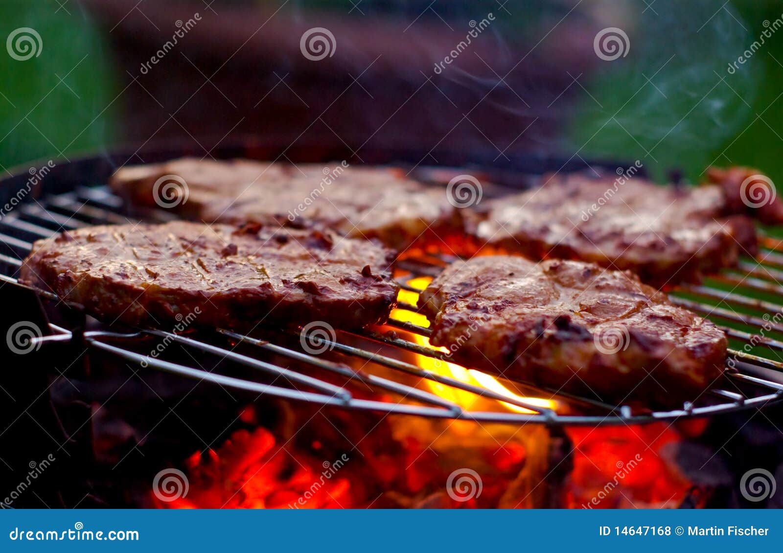 BBQ stock photo. Image of barbecue, smoke, field, coal - 14647168