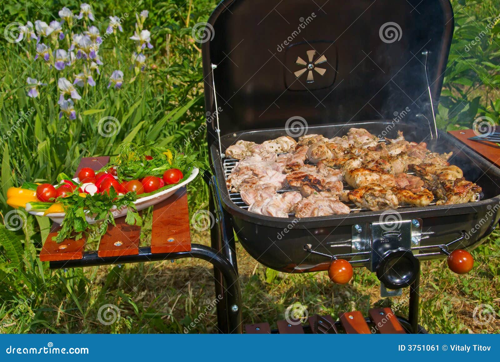 BBQ Close-up stock image. Image of camping, calf, coals - 3751061