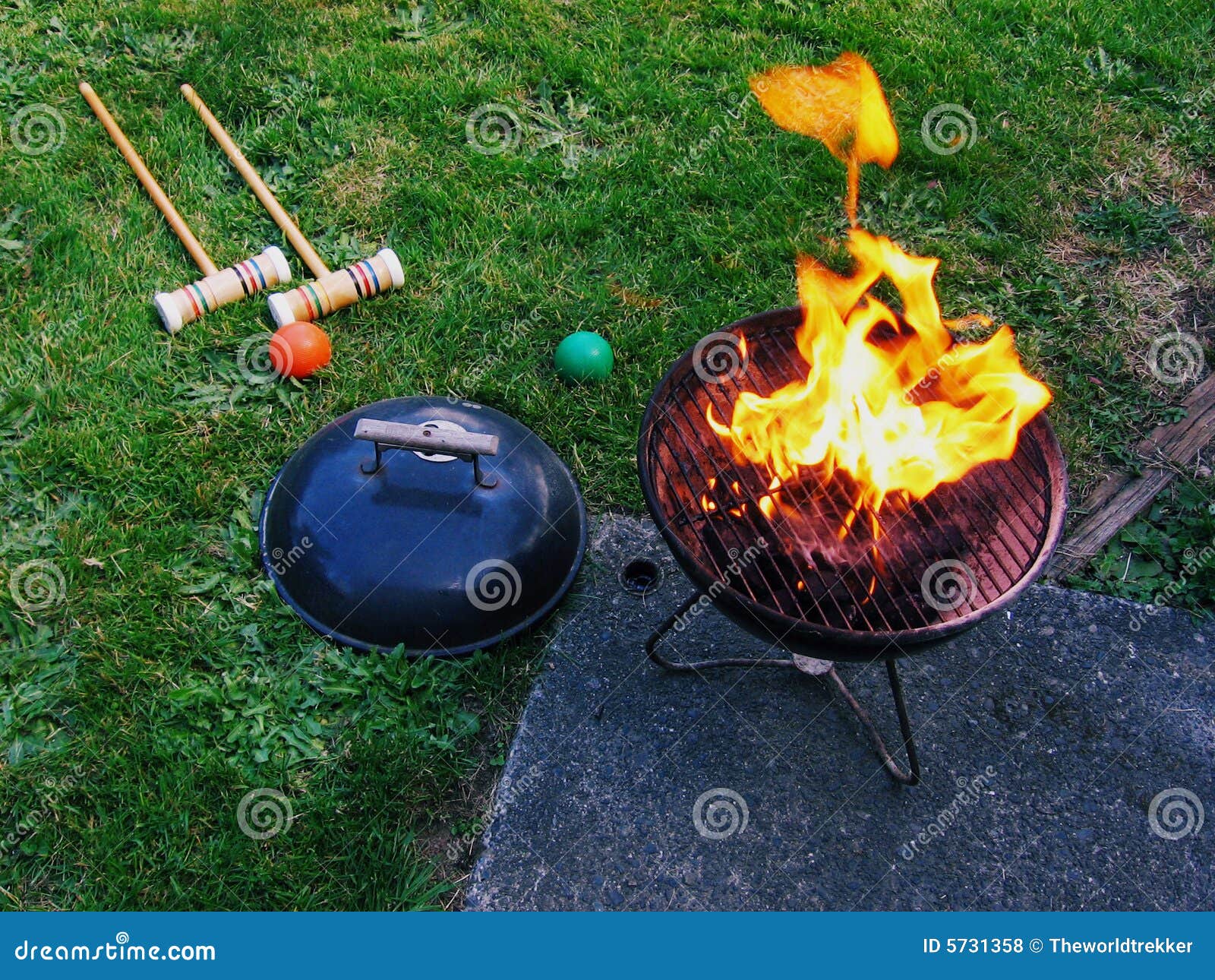 BBQ and Croquet in the Backyard Stock Photo - Image of challenge ...