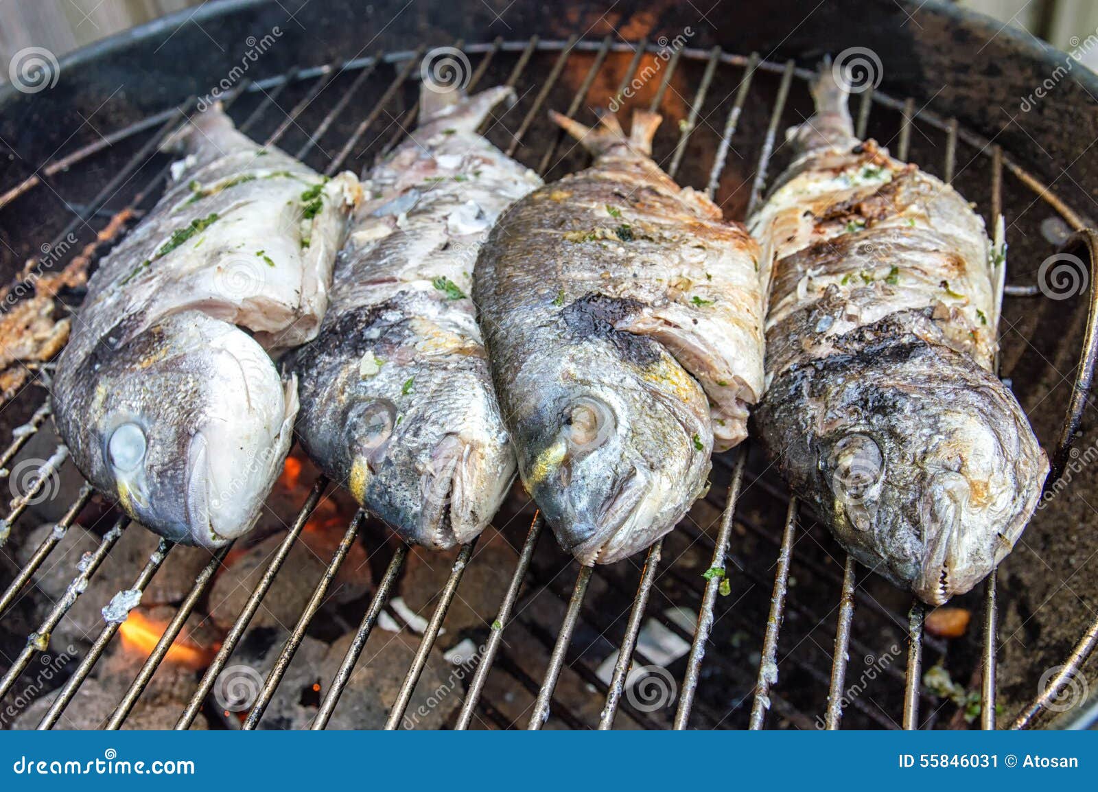 BBQ Dorade stock image. Image of meal, fishes, food, dinner - 55846031