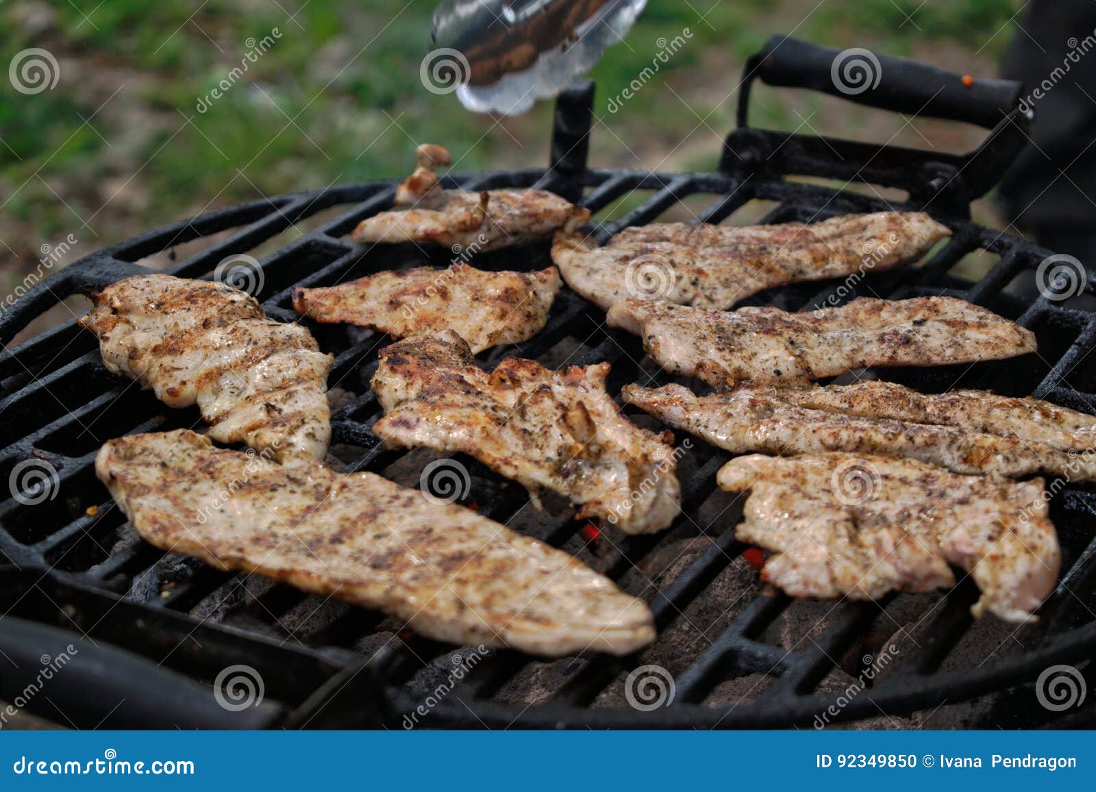 BBQ stock photo. Image of nature, meal, food, fillets - 92349850